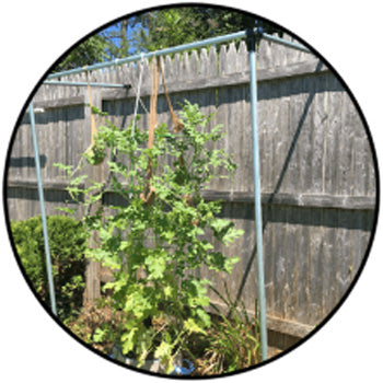 How to Get Started with DIY Pipe Projects | Maker Pipe